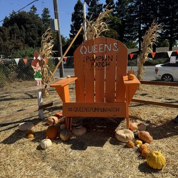 QUEENS PUMPKIN PATCH - TEMP. CLOSED - Updated April 2025 - 231 Photos ...