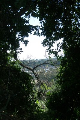 SAN DIMAS CANYON PARK - 85 Photos & 22 Reviews - Parks - 1628 Sycamore ...