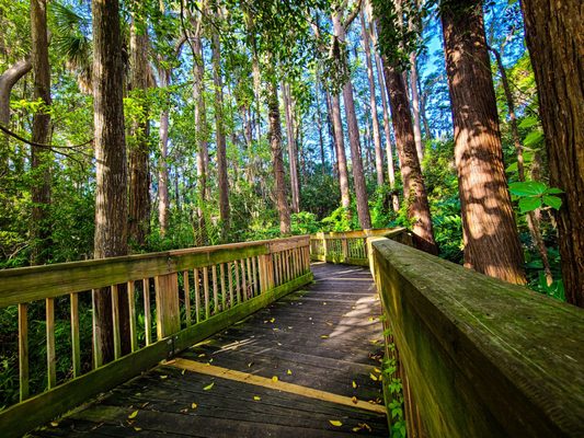 A. L. ANDERSON PARK - Updated September 2025 - 176 Photos & 27 Reviews ...