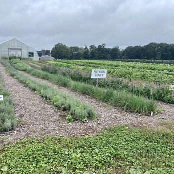 APPLETON FARMS - Updated September 2025 - 66 Photos & 28 Reviews - 219 ...