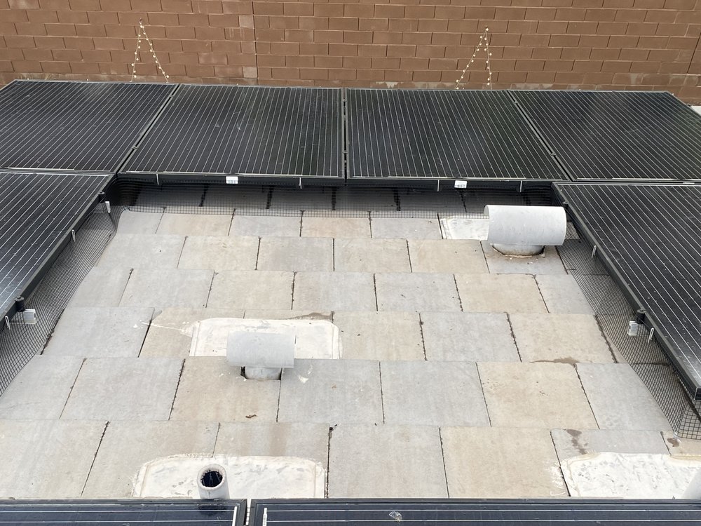 PIGEON DEPARTMENT LAS VEGAS - Updated January 2026 - 23 Photos - 4087 ...