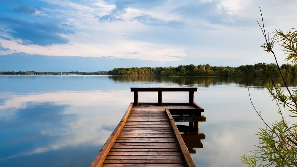 LINDA LINTON - Updated April 2024 - 219 Cauldwell Hall Road, Ipswich ...