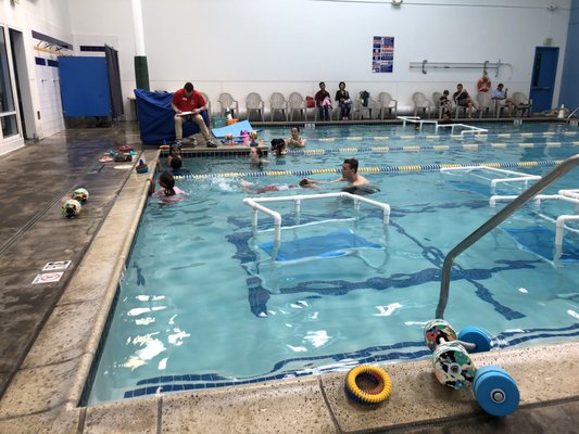 NOONAN FAMILY SWIM SCHOOL - 116 Photos & 117 Reviews - Swimming Lessons ...