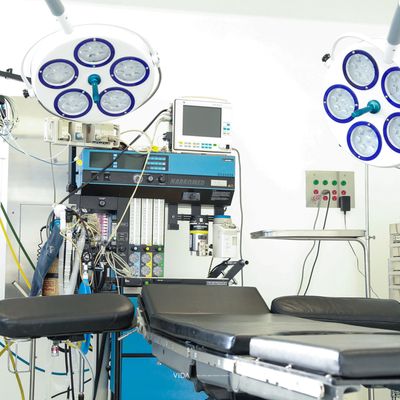 VIDA - Updated September 2024 - 58 Photos & 72 Reviews - Brasilia 1 ...