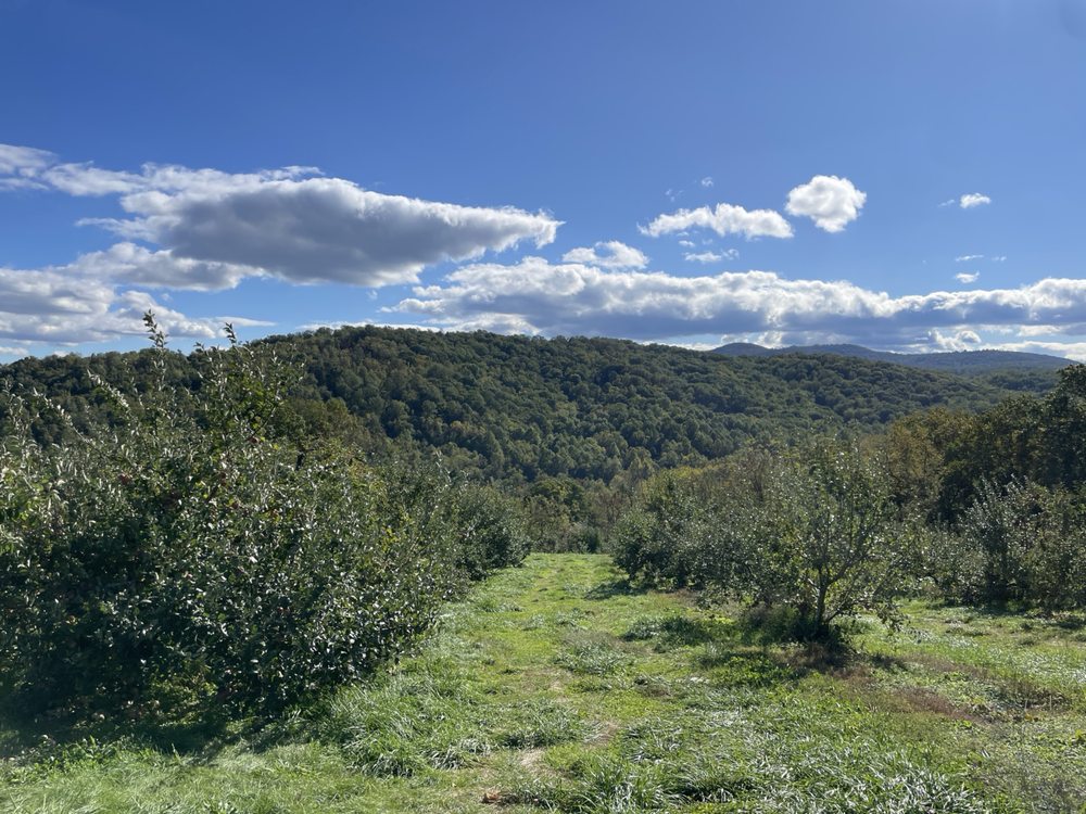 HARTLAND FARM AND ORCHARD - Updated December 2025 - 32 Photos - 3205 ...