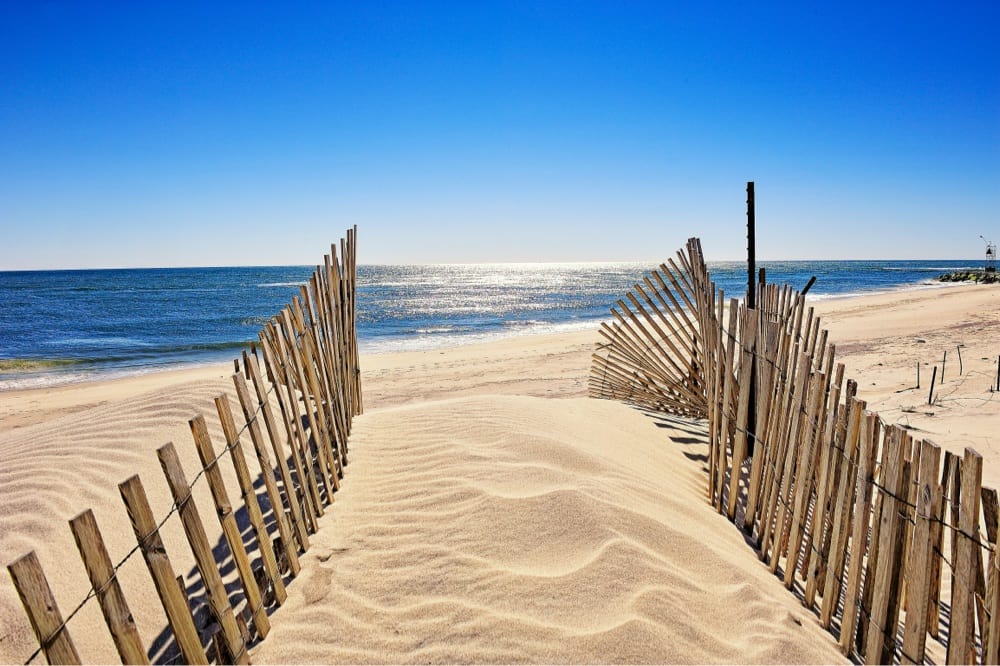 TIM DOUBRAVA IMAGES - Updated January 2026 - East Quogue, New York ...