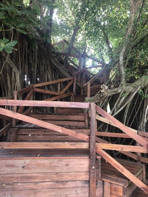 DUNI’S FARM - Updated October 2025 - 17 Photos - 15885 SW 246th St ...