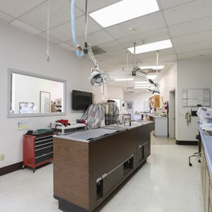 YUBA-SUTTER SPCA SPAY-NEUTER CLINIC - Updated April 2025 - 11 Photos ...