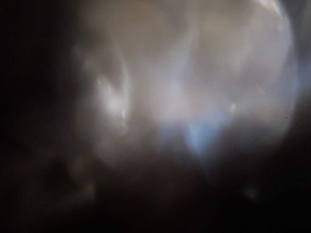 L J’S GARDEN CAFE - Updated January 2026 - 12 Reviews - 114 N Chicago ...