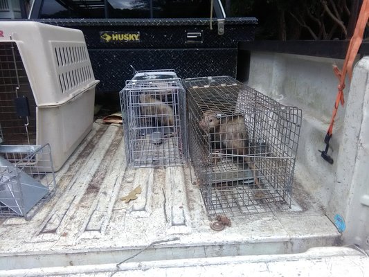 CATCH A CRITTER - Updated October 2025 - 19 Photos - 23500 Mercantile ...