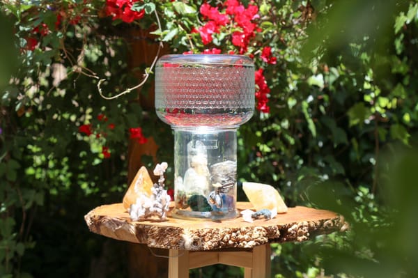 ALIVE WATER - Updated October 2025 - 27 Photos & 66 Reviews - 6420 ...