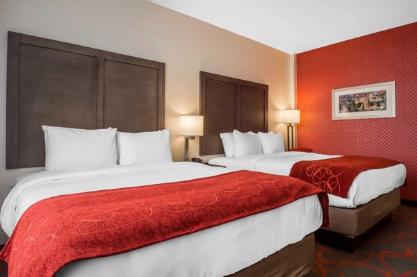 COMFORT INN & SUITES NEAR STADIUM - Updated December 2025 - 22 Photos ...