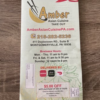 AMBER ASIAN CUISINE - Updated April 2026 - 26 Photos & 18 Reviews - 411 ...