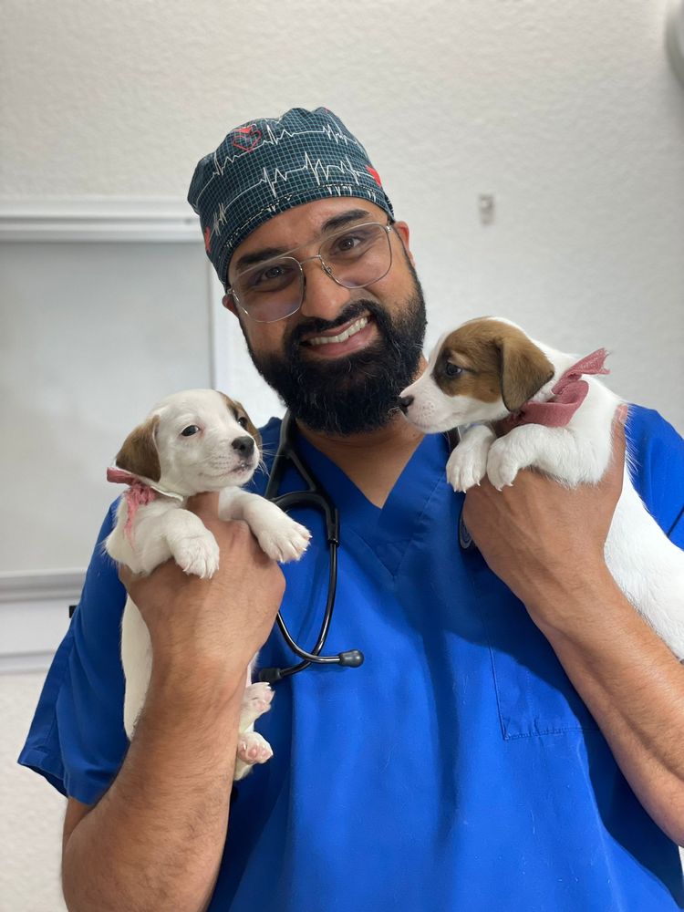 VETERINARY MEDICAL CENTER UNION CITY - Updated May 2026 - 153 Photos ...