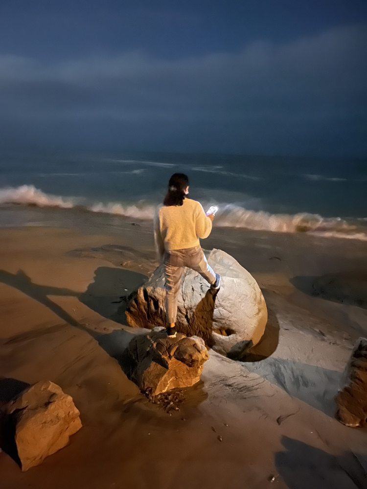 DIVERS COVE - Updated January 2026 - 99 Photos & 17 Reviews - 631 Cliff ...