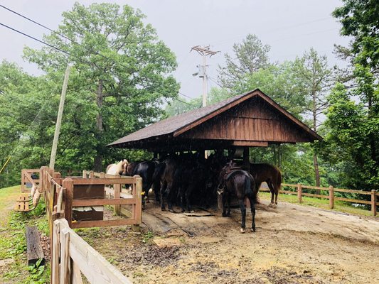 CUMBERLAND FALLS HORSE RIDING STABLES - Updated October 2025 - 11 ...