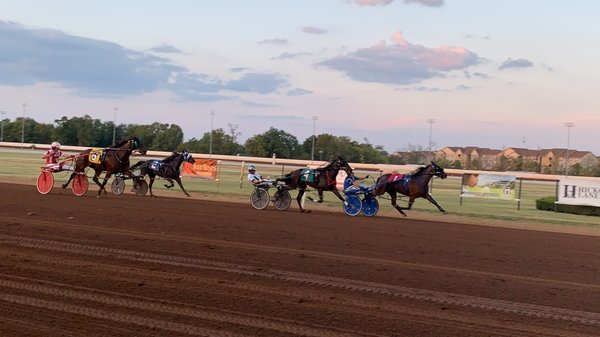 THE RED MILE - 66 Photos & 38 Reviews - 1200 Red Mile Rd, Lexington ...