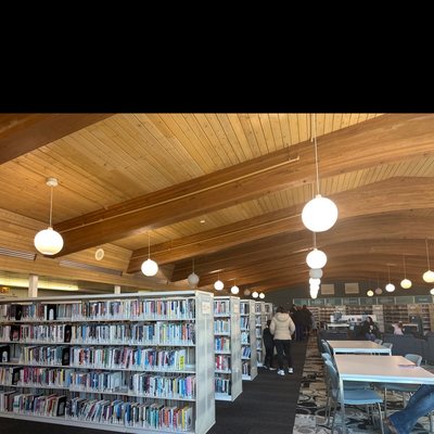 NILES-MAINE DISTRICT LIBRARY - Updated December 2025 - 38 Photos & 39 ...