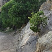 DIABLO FOOTHILLS REGIONAL PARK - 237 Photos & 44 Reviews - 1700 Castle ...