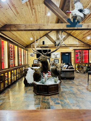 KB HOUSE OF GUNS - Updated December 2025 - 631 Hunter Ave, Boswell ...