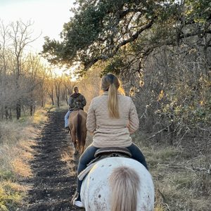 WESTCREEK TRAIL RIDES - 85 Photos & 72 Reviews - 12230 Westcreek Oaks ...