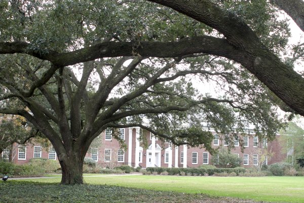 UNIVERSITY OF NORTH CAROLINA WILMINGTON - Updated December 2024 - 29 ...