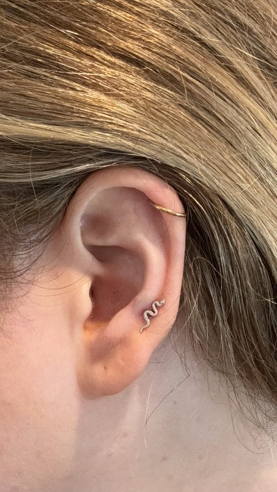 EVOLUTION BODY ART - Updated December 2025 - 11 Photos & 27 Reviews ...