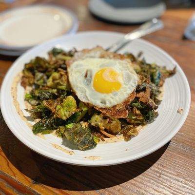 FINCH - Updated January 2026 - 1122 Photos & 855 Reviews - 32395 ...