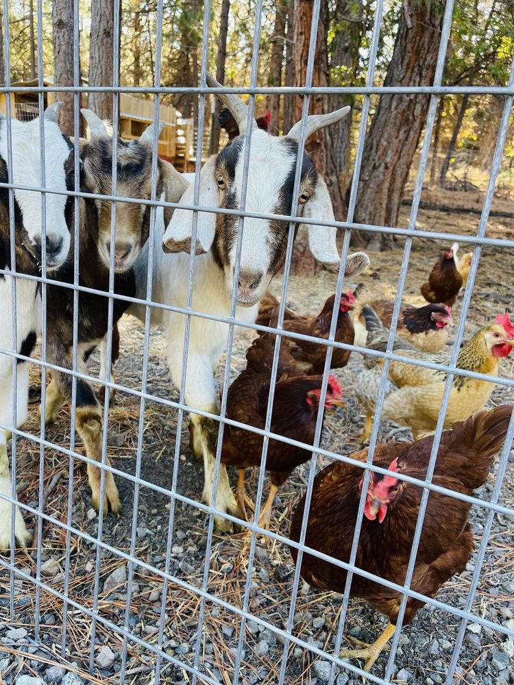 TRAILER LANE CAMPGROUND - Updated November 2024 - 47 Photos & 48 ...