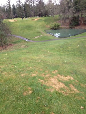 GRANTS PASS GOLF CLUB - Updated October 2025 - 230 Espey Rd, Grants ...