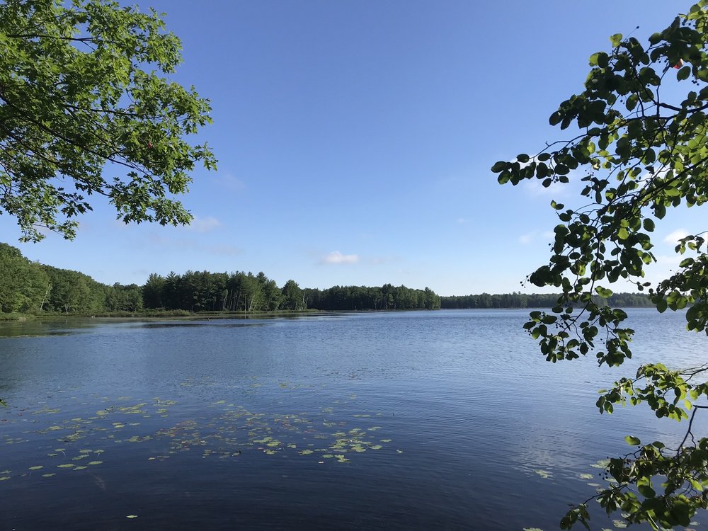 LOST LAKE PATHWAY - Updated March 2025 - 1131 Gonder Rd, Interlochen ...