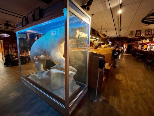 OLE’S BIG GAME STEAKHOUSE & LOUNGE - Updated August 2025 - 272 Photos ...