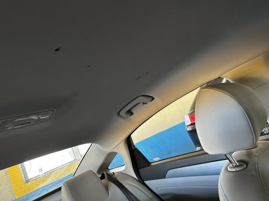 FOX RENT A CAR - Updated August 2025 - 181 Photos & 870 Reviews - 3275 ...