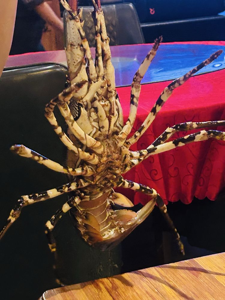 GOLDEN OCEAN RESTAURANT - Updated December 2024 - Station 1 Balabag ...