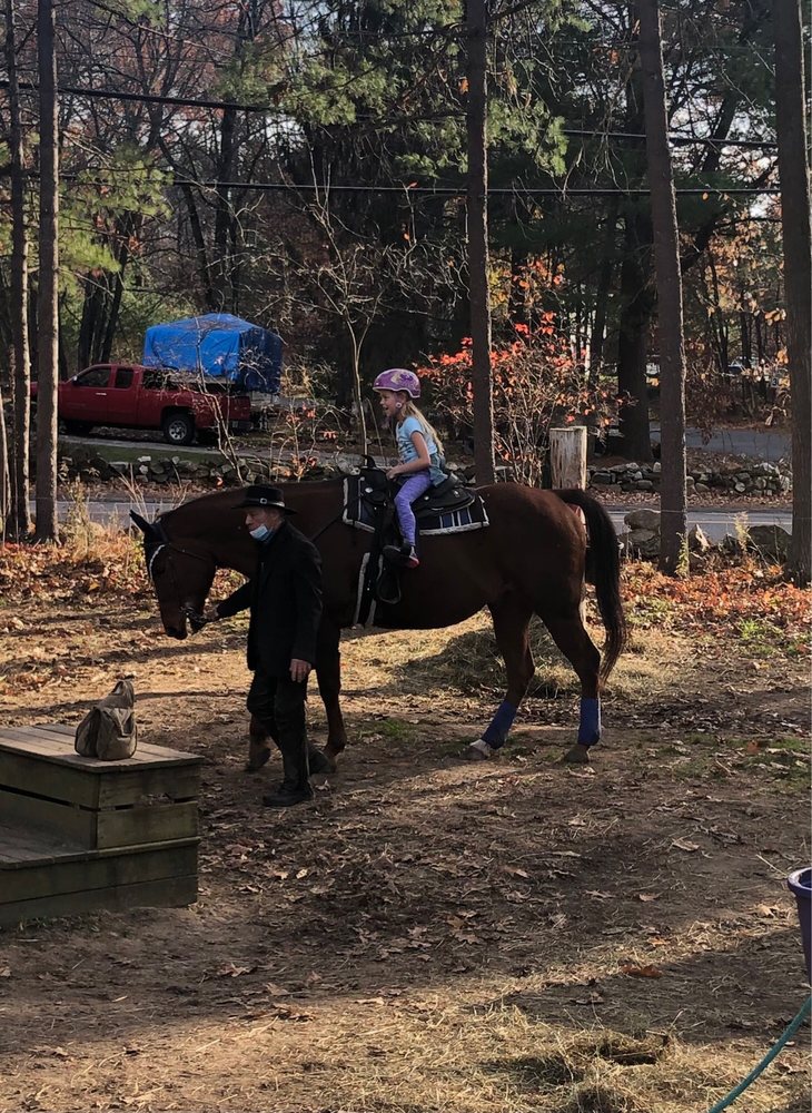 LUCKY 7 STABLES - Updated November 2024 - 54 Photos & 47 Reviews - 154 ...