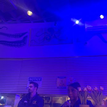 OCTOPUS KITCHEN - Updated June 2024 - 417 Photos & 231 Reviews - 1551 ...