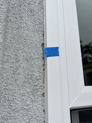 NEWMAN WINDOWS & DOORS - Updated October 2025 - 92 Photos & 236 Reviews ...