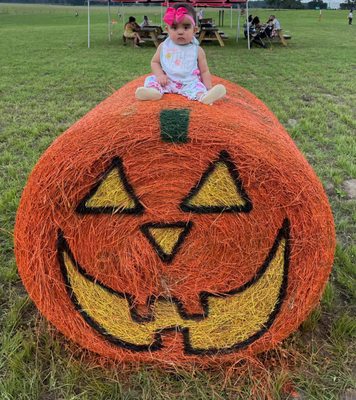 MAYHEM RANCH - 15 Photos - 17830 SE 40th St, Morriston, Florida ...