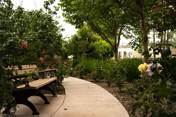 THE ORCHARD POST ACUTE CARE - Updated January 2026 - 21 Photos & 61 ...