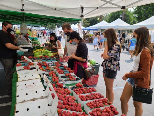 LADERA RANCH FARMERS MARKET - Updated September 2024 - 117 Photos & 20 ...