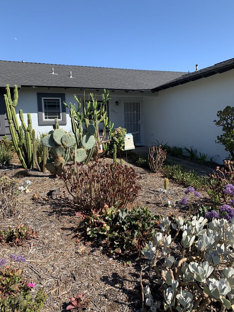 BOYD TURNER CUSTOM PAINTING - Updated January 2025 - 1775 Ebers St, San ...