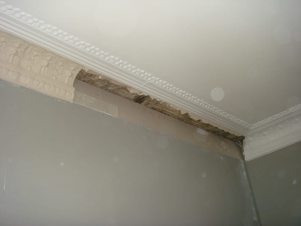 THE OLD ENGLISH CORNICED COMPANY - Building Supplies - 48 Russell Road ...