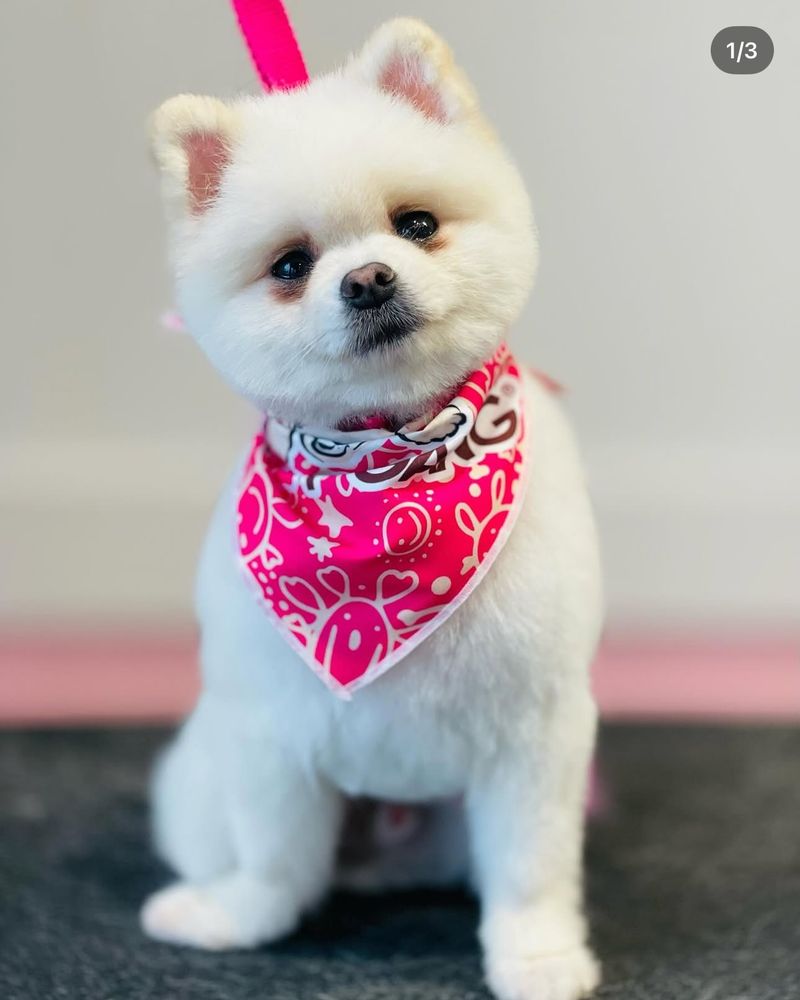 CHATEAU DU PAW - Updated April 2026 - 42 Photos & 23 Reviews - 9438 W ...
