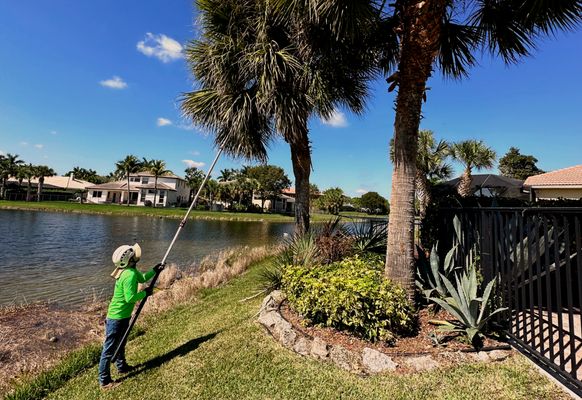 EPIC LANDSCAPING - Updated October 2025 - 63 Photos - 6650 SW 189th Way ...