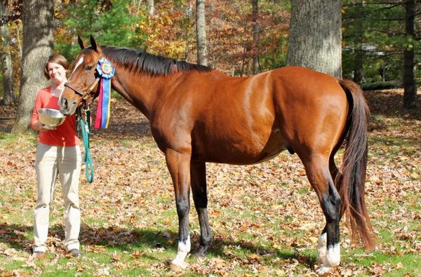 BROOKHILL FARM - Updated December 2025 - 16 Photos - 2067 Scottsville ...