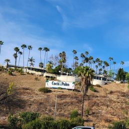 COCO PALM RESTAURANT - Updated July 2025 - 2378 Photos & 1672 Reviews ...