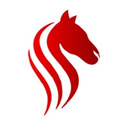 STAMPEDE AUTO - Updated January 2026 - 2520 Centre Avenue NE, Calgary ...