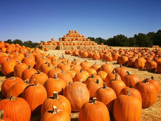 FOWLER RANCH - Updated August 2024 - 15 Photos & 12 Reviews - 3111 ...