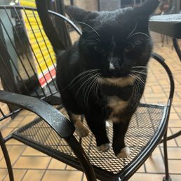 FLYIN BUFFALO - Updated July 2025 - 25 Photos & 64 Reviews - 802 Sloop ...