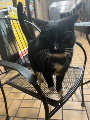 FLYIN BUFFALO - Updated November 2025 - 29 Photos & 65 Reviews - 802 ...